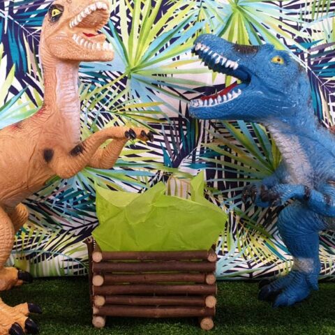 Party Info - Hyto Tyto