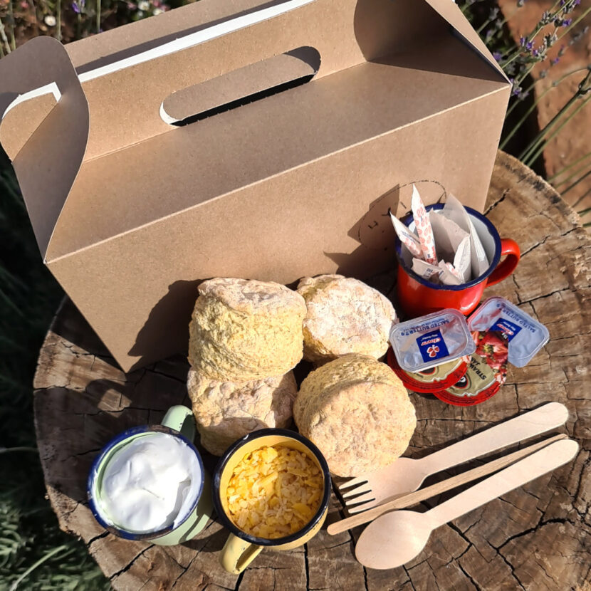 Tea Time - Hyto Tyto