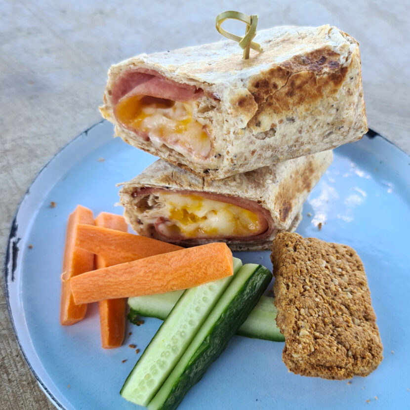 Miles's Lunch Box - Hyto Tyto