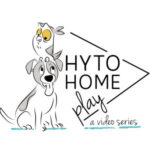 Hyto Tyto – Kids Venue & Eatery